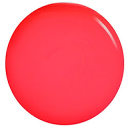 NO REGRETS – Isabel Moralli